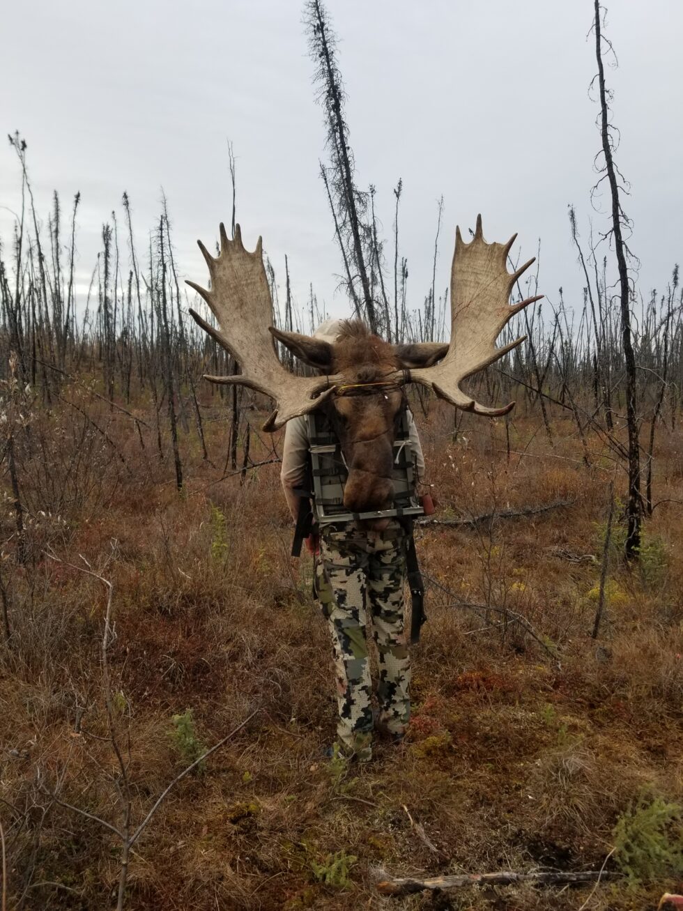 Robert Palmer | Munson, Cacciola & Severin, LLP